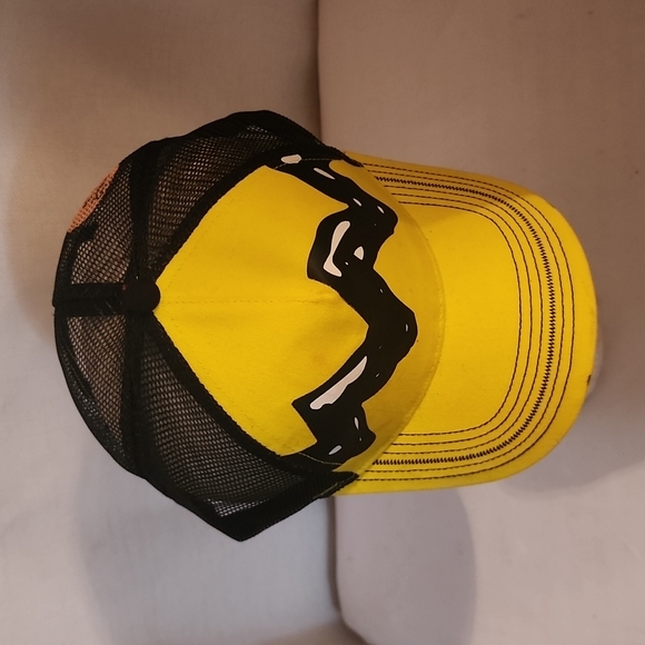 cedar fair | Accessories | Peanuts Charlie Brown Hat | Poshmark